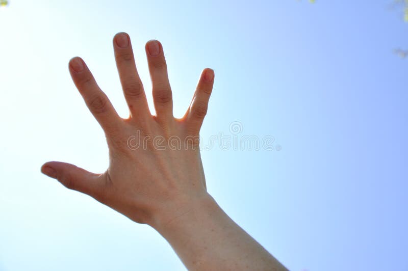 Right hand raised up stock photo. Image of sign, fingers - 145965388