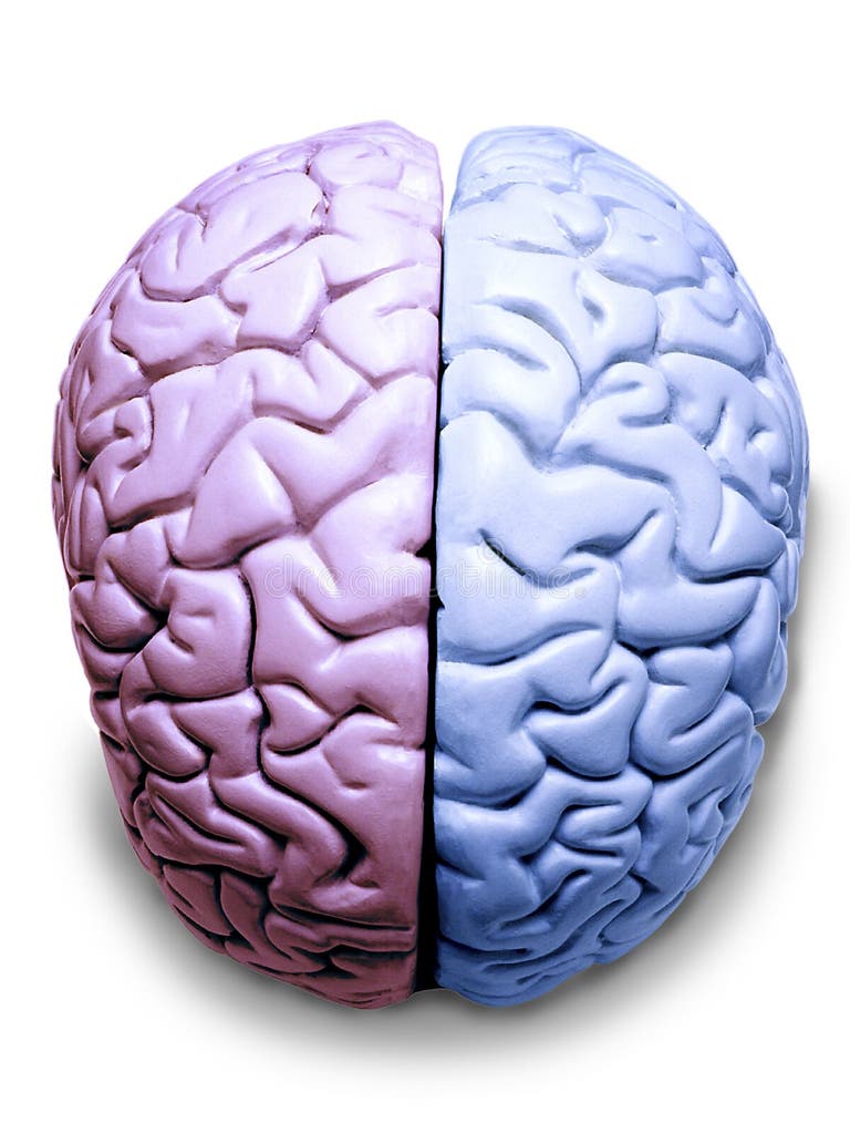 1,652 Transgender Boy Stock Photos - Free & Royalty-Free Stock Photos ...