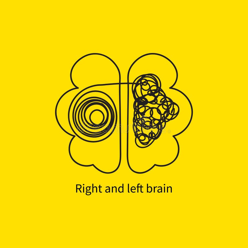 Right and left brain stock vector. Illustration of hand - 119089733
