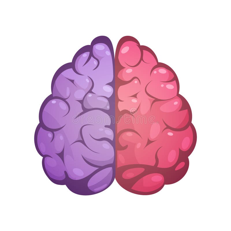 Right and Left Brain Symbolic Image Stock Vector - Illustration of ...