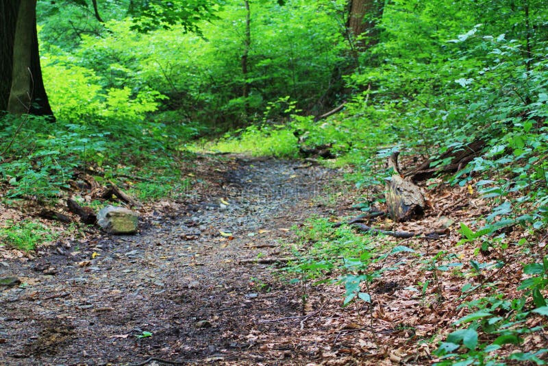Right Path stock image. Image of path, dirt, right, rocks - 13323017