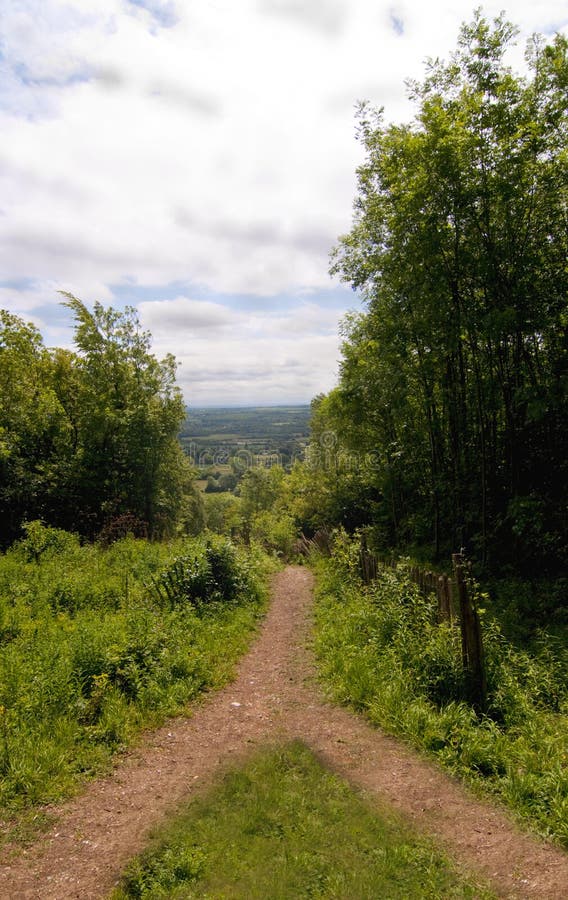 1,169 Split Path Forest Stock Photos - Free & Royalty-Free Stock Photos ...