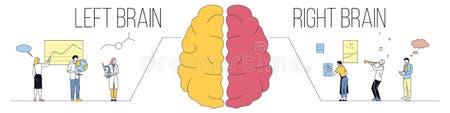 Right Vs Left Human Brain Functions Concept. Analytical, Logical Vs ...