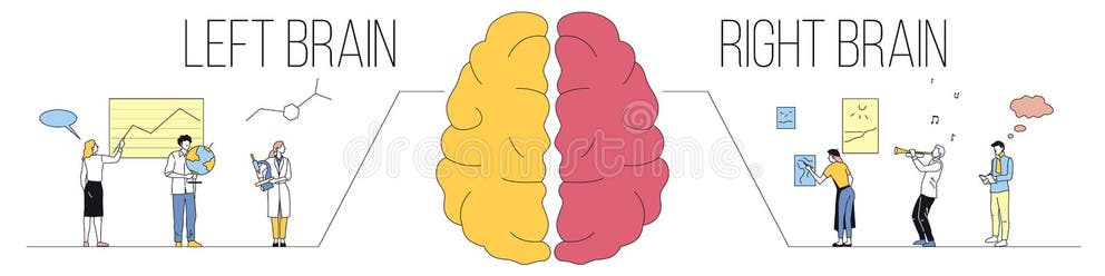 Right Vs Left Human Brain Functions Concept. Analytical, Logical Vs ...