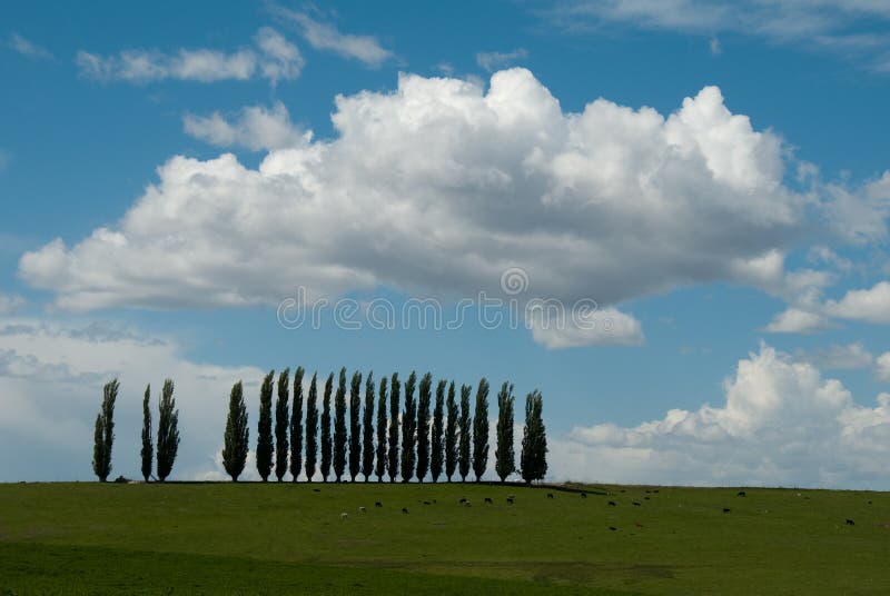 Rij van bomen stock foto. Image of lente, bomen, wolken - 9670668