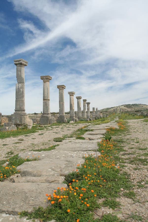 Rij van oude roman kolom stock foto. Image of cultureel - 2957228