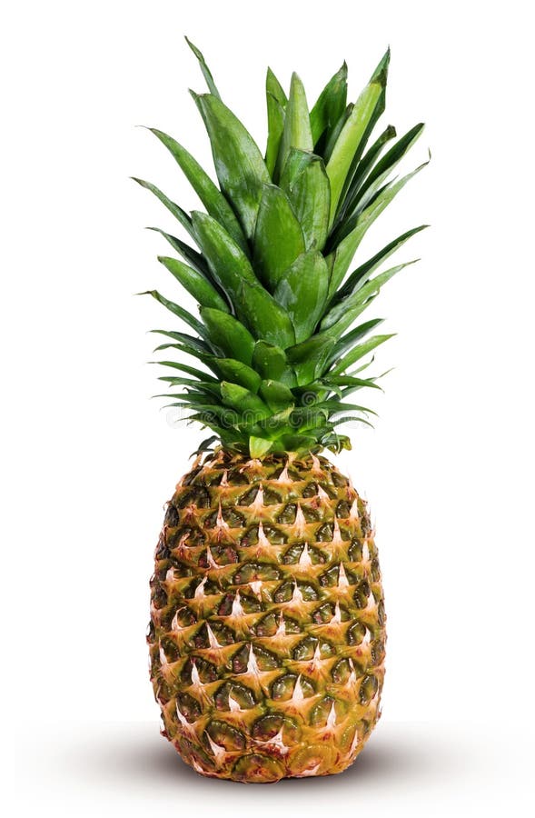 Rijpe Witte Druiven Met Dauw Stock Afbeelding - Image of dauw, water ...