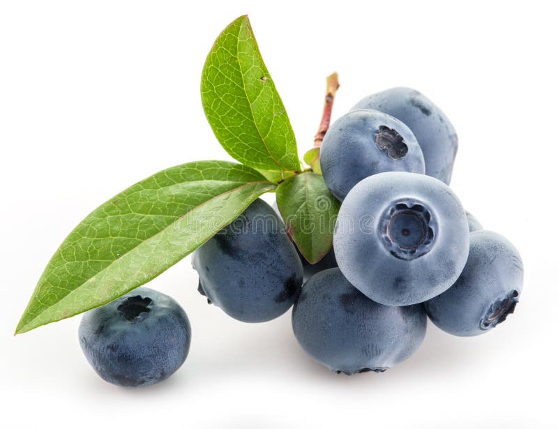 Rijpe bosbessen stock foto. Image of mengeling, kruisbes - 66516666