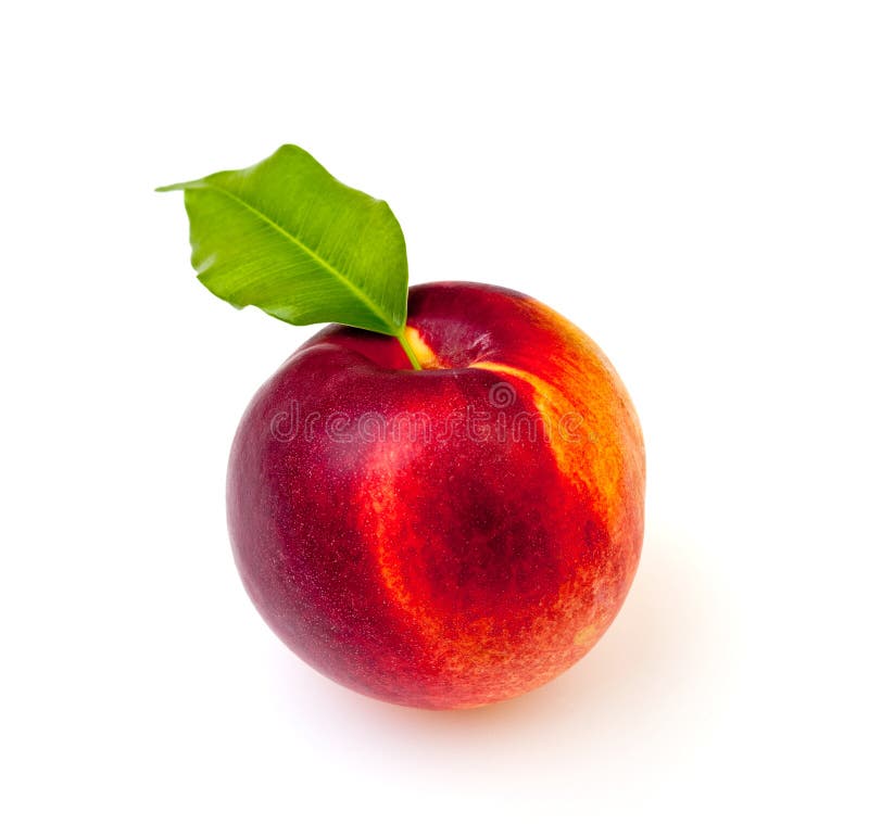 Perzik met blad stock foto. Image of geïsoleerd, groen - 40292976