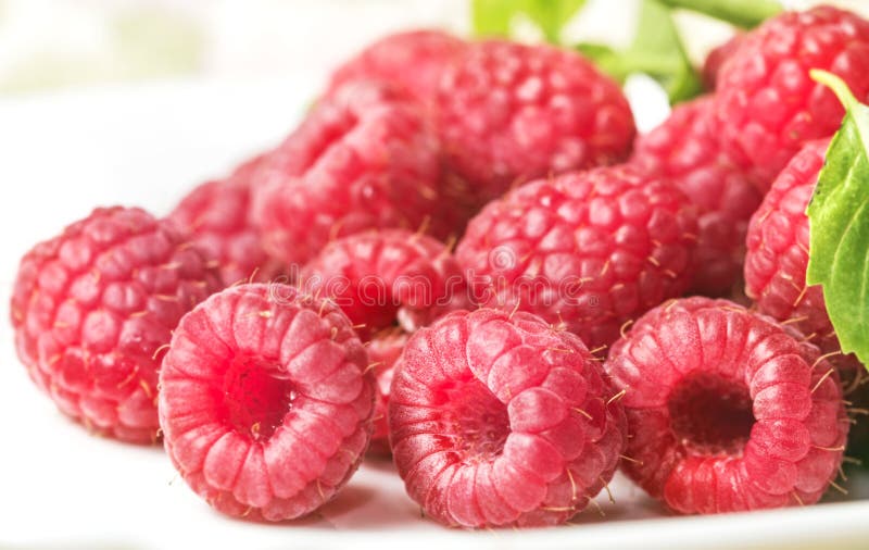 Rijpe rode frambozen stock afbeelding. Image of organisch - 74911041