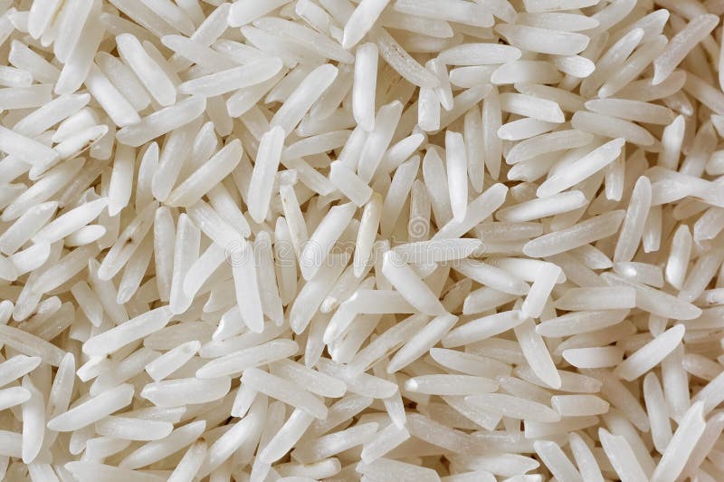 Rijst stock afbeelding. Image of graan, landbouw, oogst - 15029275