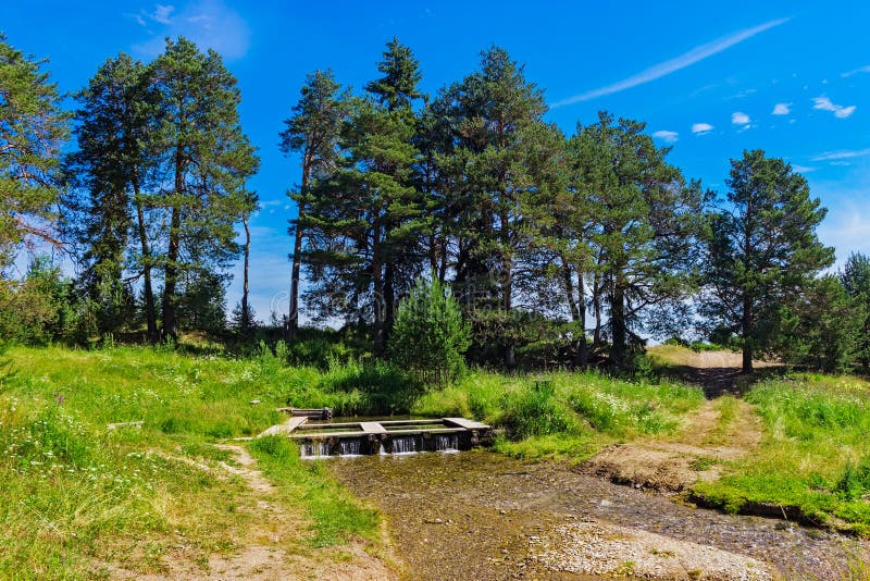 Rill in the Countryside on a Sunny Summer Day Stock Image - Image of ...
