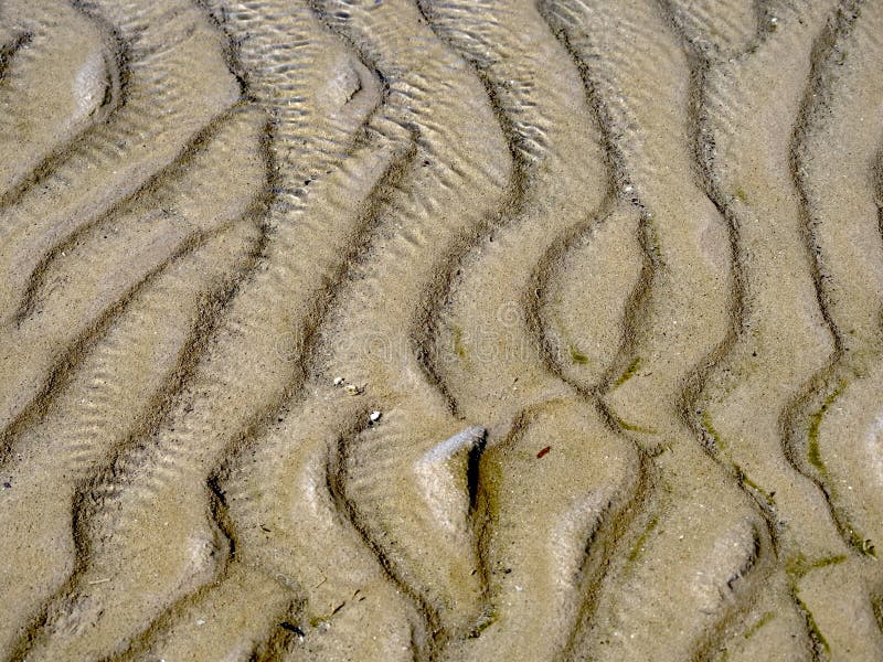 Rill Marks on a Sandy Beach at Low Tide Stock Image - Image of beach ...