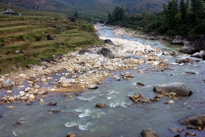 Water Rill stock image. Image of shrubbery, rill, beds - 40736299