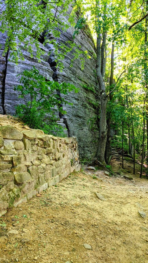 Rim Rock Caverns stock photo. Image of plant, rock, soil - 224529248