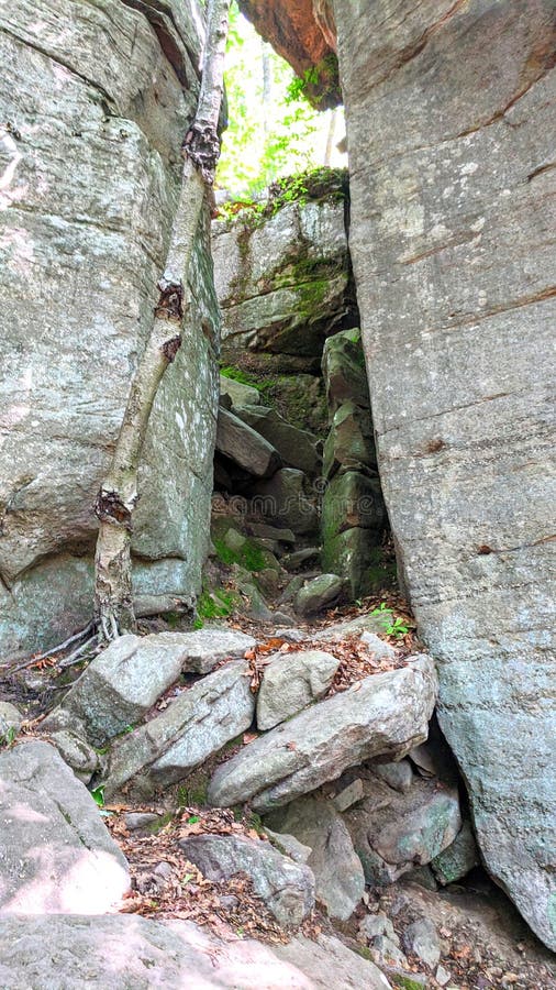 Rim Rock Caverns stock image. Image of tree, geology - 224524733