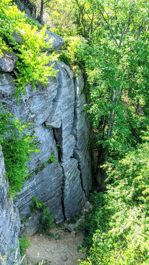 The Rim Rock Cliff stock photo. Image of leaf, terrain - 224523360