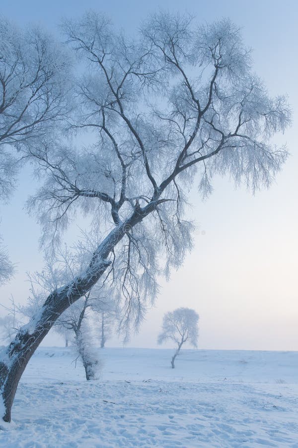 Rime stock photo. Image of freeze, blue, environment - 28458186