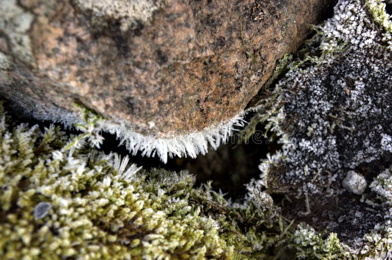 Rime frost on rock stock photo. Image of frozen, moss - 29006556