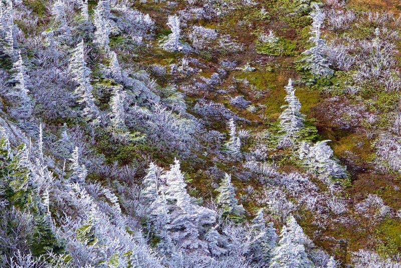 The Rime Landscape of the High Plain Stock Image - Image of mount ...