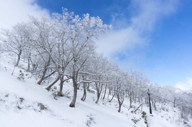 Rime stock photo. Image of japan, unmanned, snow, mountain - 68195680
