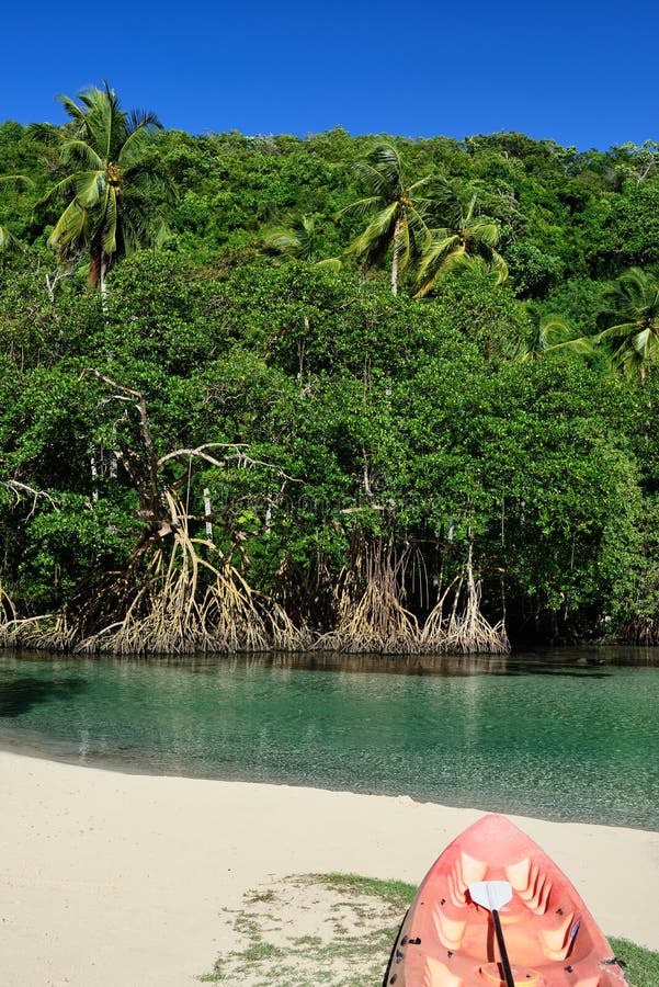 Playa Rincon Beach on Dominican Republic Stock Photo - Image of ...