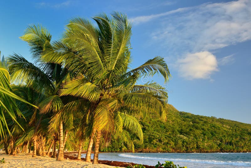 Playa Rincon Beach on Dominican Republic Stock Photo - Image of tourism ...