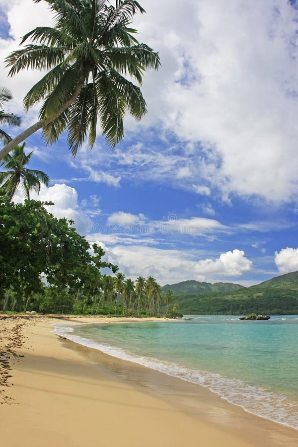 Rincon Beach, Samana Peninsula Stock Image - Image of atlantic, exotic ...