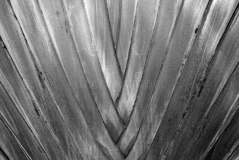 Rind Tree Pattern Background Close Up Stock Photo - Image of trunk ...