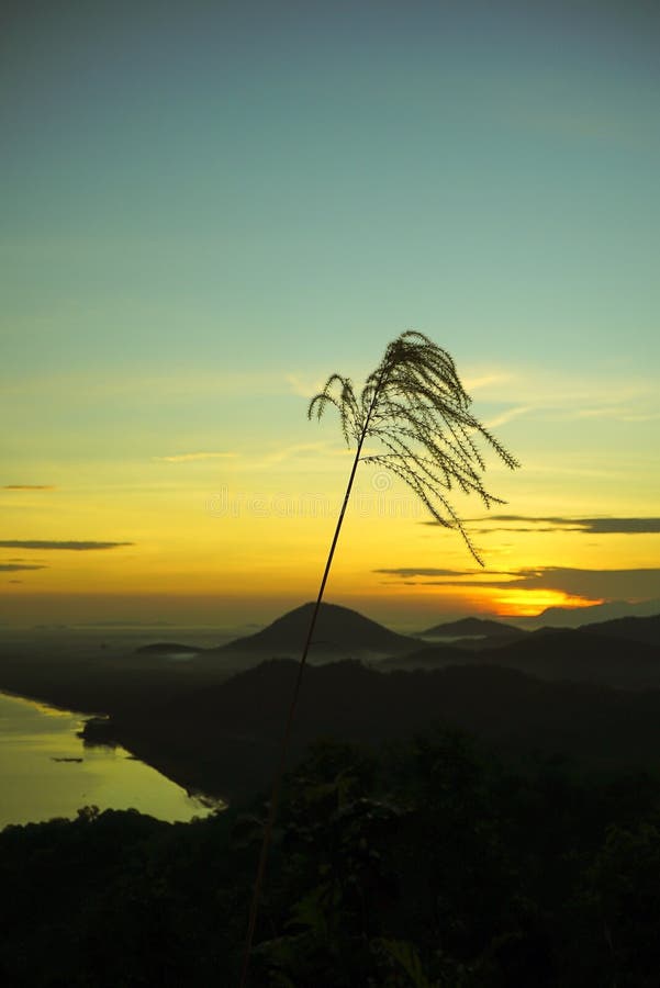 Rindu Alam Hill stock photo. Image of borneo, landscape - 72349658