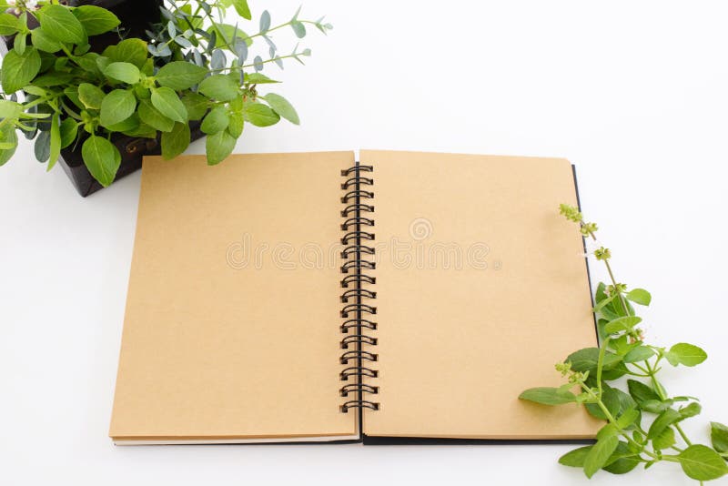 Ring binder book stock image. Image of handy, modern - 129786717
