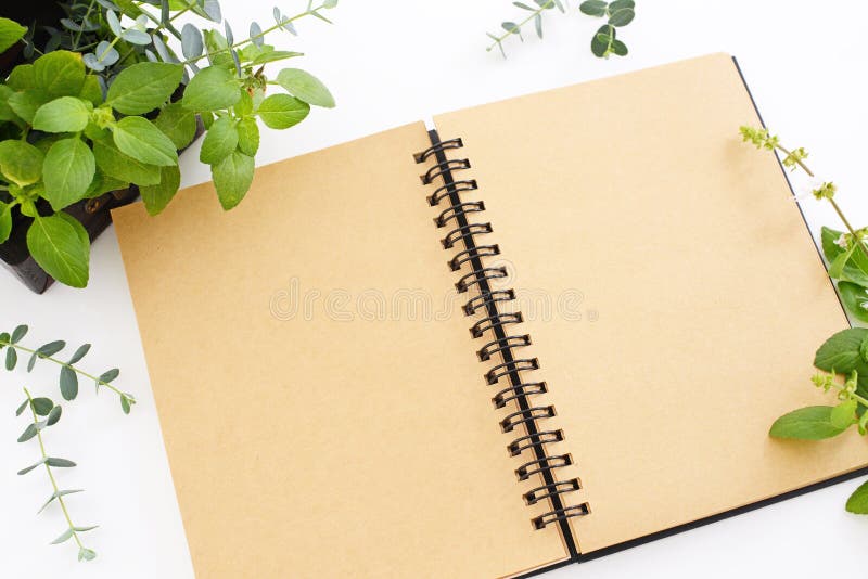 Ring binder book stock photo. Image of education, binder - 129786750