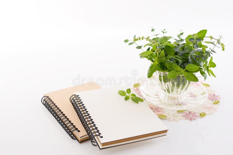 Ring binder books stock photo. Image of business, happy - 129794932