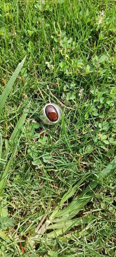 Ring with Black Enamel Isolated on White Background - Image Stock Image ...