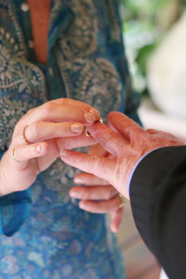 Exchanging wedding rings. stock image. Image of gorgeous - 10314651