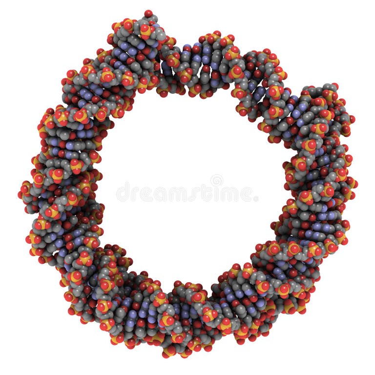 Ring made of DNA stock illustration. Illustration of scientific - 5292569