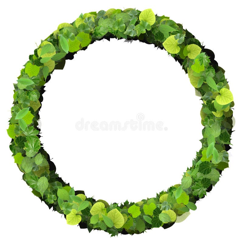 Ring Made from Green Leaves. Stock Illustration - Illustration of ...