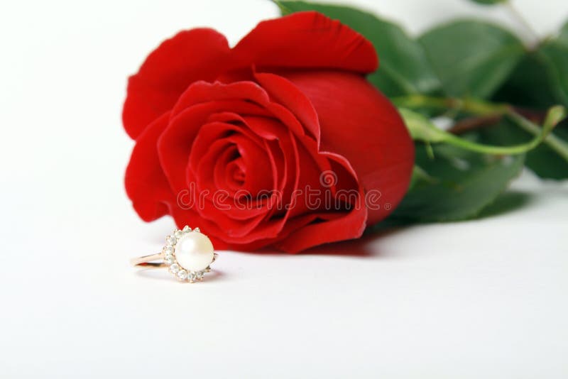 Ring with Pearl and Red Rose Stock Photo - Image of bouquet, married ...