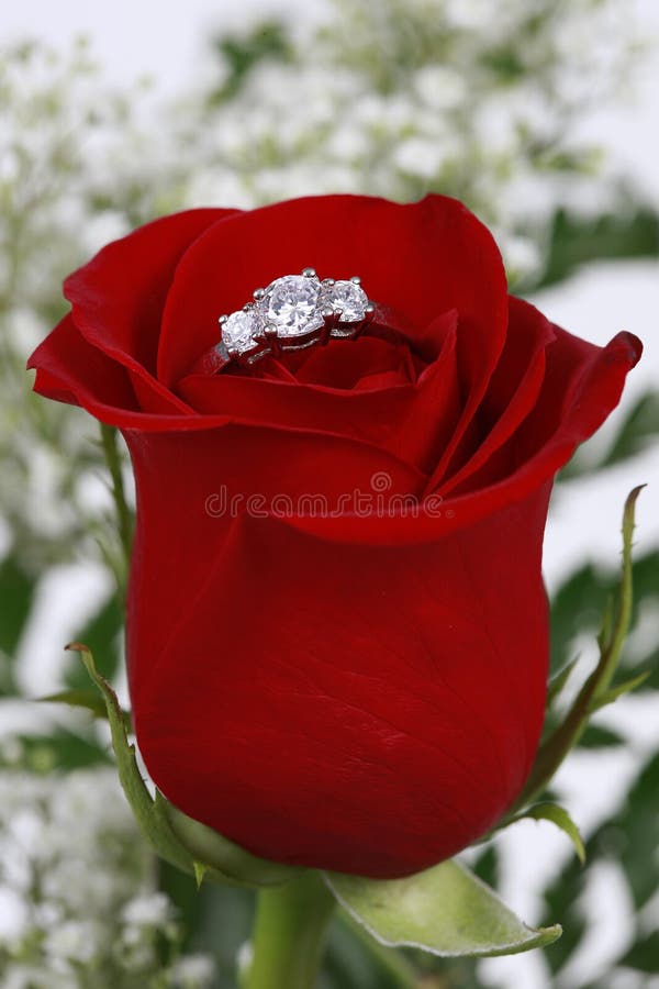 Red Rose And Jewel Picture. Image: 1494213