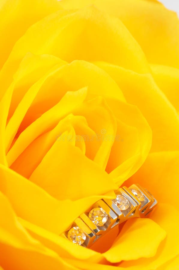 Ring in rose stock image. Image of gift, anniversary, flower - 759215