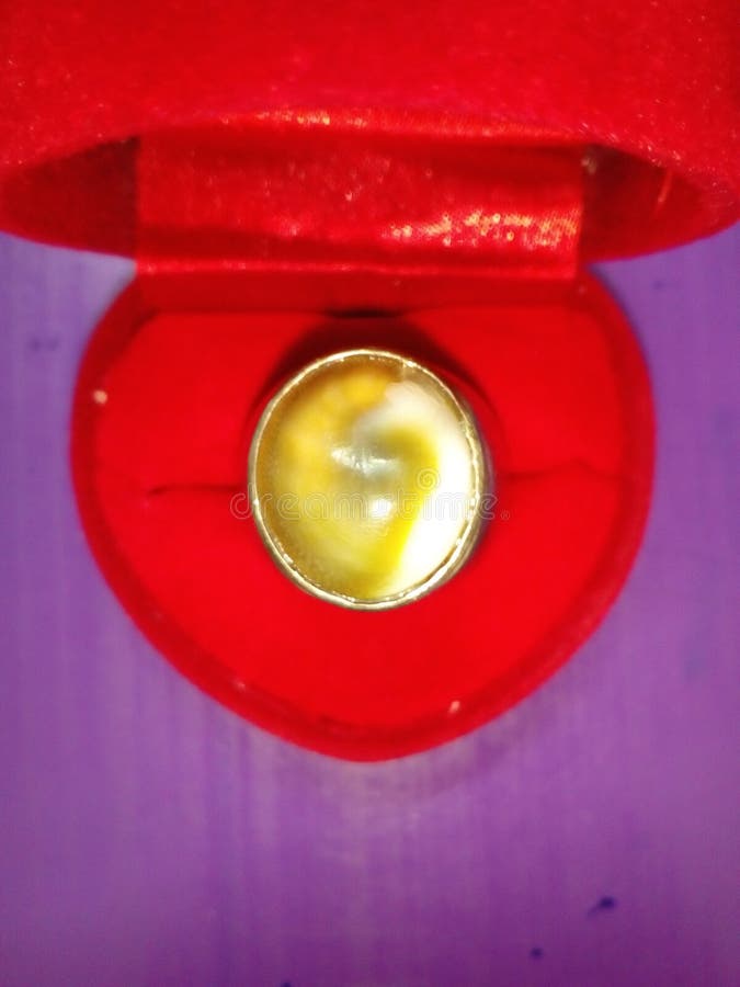 Shell. stock image. Image of ring, special, shell, amazing - 106590419