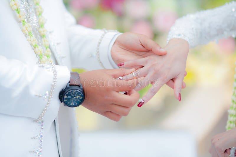 Wedding rings stock image. Image of clothing, love, purple - 366960775