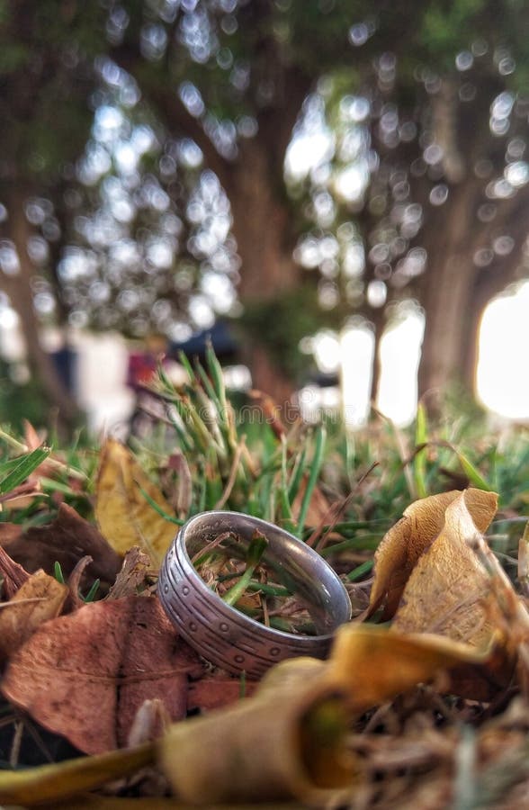 Ring wring stock photo. Image of earth, wring, ring - 126542654