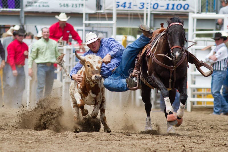 Ringender Ochse - PRCA Schwestern, Oregon-Rodeo 2011 Redaktionelles ...