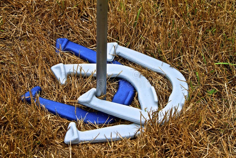 Ringers Picture. Image: 20710955