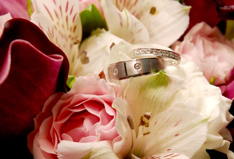 Group of Happy Youth on Spring Break Stock Image - Image of mallorca ...