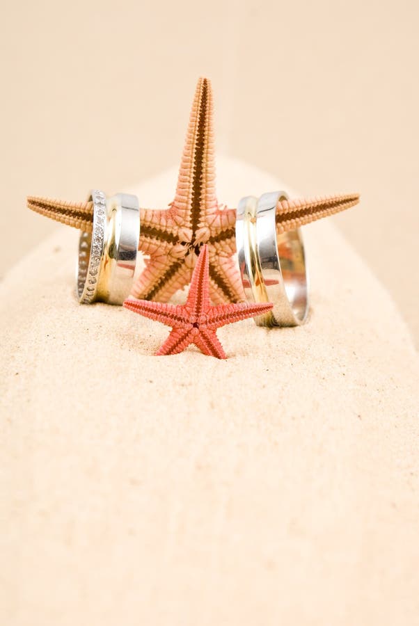 Wedding Rings on Shells stock photo. Image of natural - 17583318