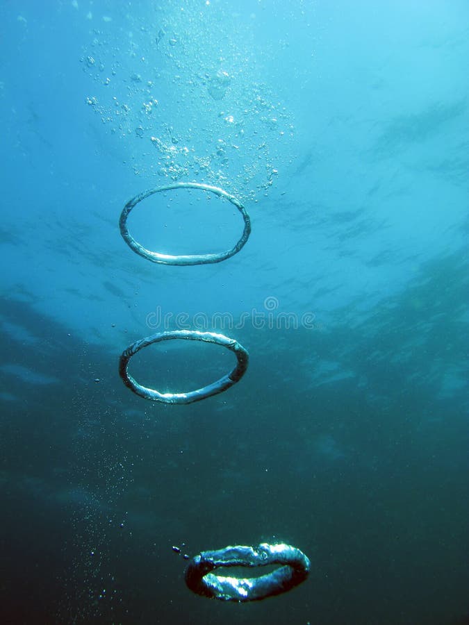 Diver air ring stock image. Image of depth, pacific, bubble - 30527139