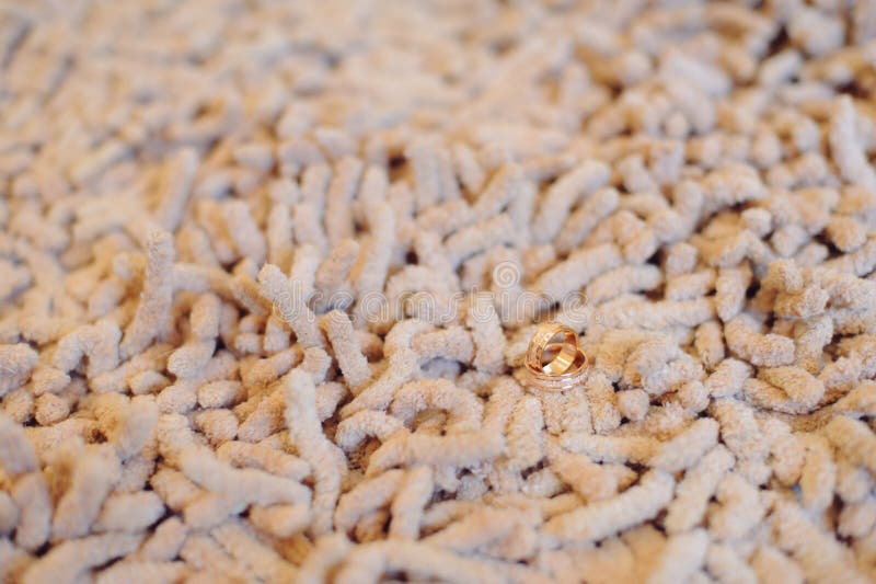 Rings on Carpet stock photo. Image of close, circle, love - 47506134