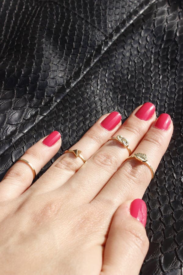 Rings stock image. Image of croc, holding, trends, holds - 53721239